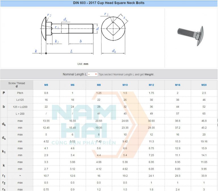 DIN 603 - 2017 Cup Head Square Neck Bolts